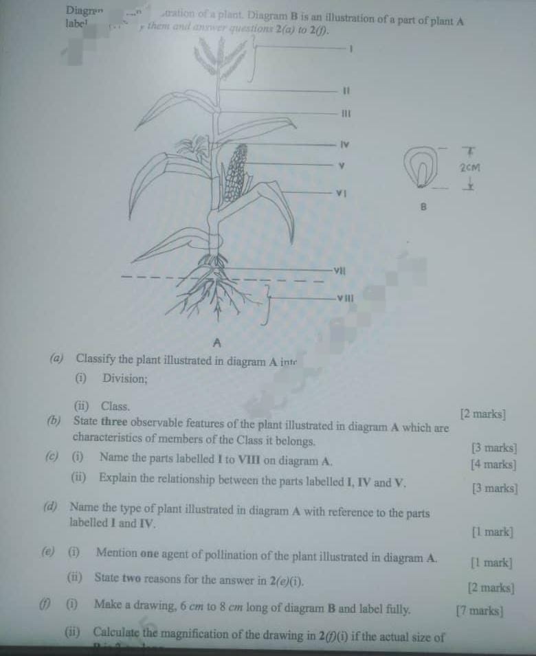 2026 WAEC GCE FIRST SERIES BIOLOGY PRACTICAL - Expo Pin